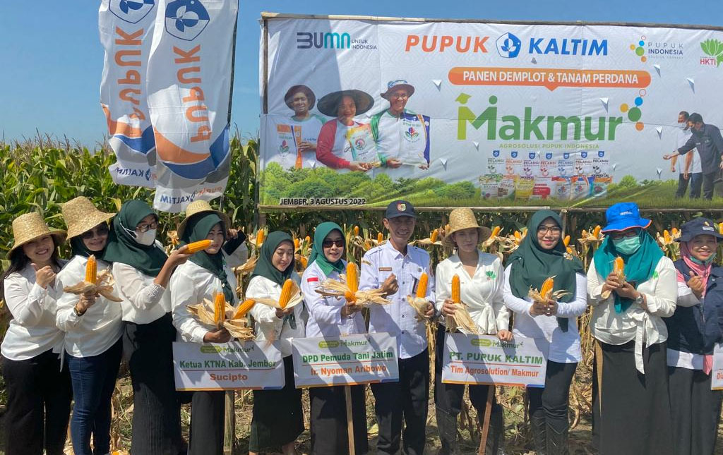 Pertani HKTI berhasil laksanakan demplot jagung seluas 300 hektar di ...