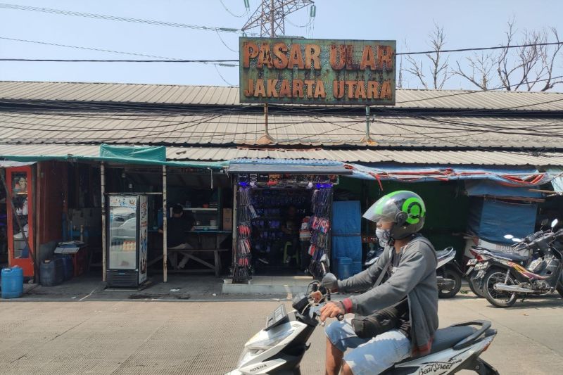 Kegiatan Pasar Ular menggeliat lagi | kegiatan--pasar-ular-menggeliat-lagi