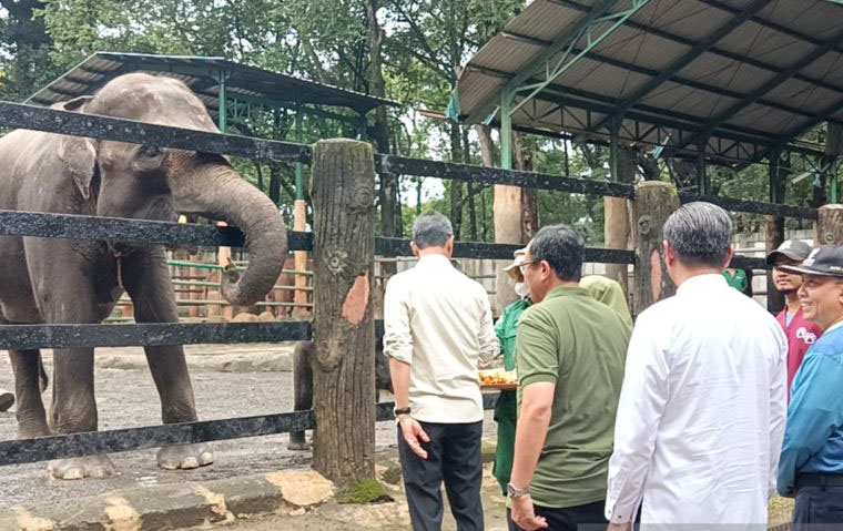 Pj Gubernur beri nama jerapah dan gajah di Taman Margasatwa Ragunan ...