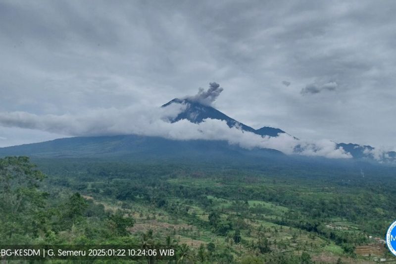 Gunung Semeru kembali erupsi dengan letusan 800 meter di atas puncak
